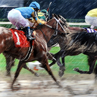 The Hyperrealism Paintings of Denis Peterson